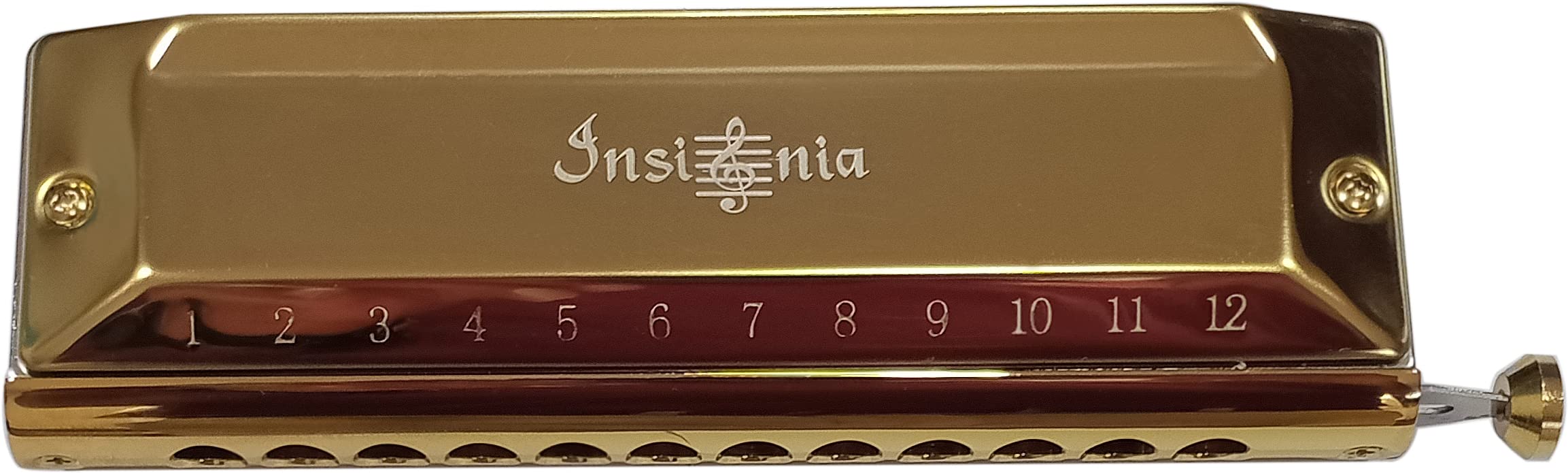 INSIGNIA 12 HOLE CHROMATIC HARMONICA (GOLD SHINE) : Amazon.in: Musical ...