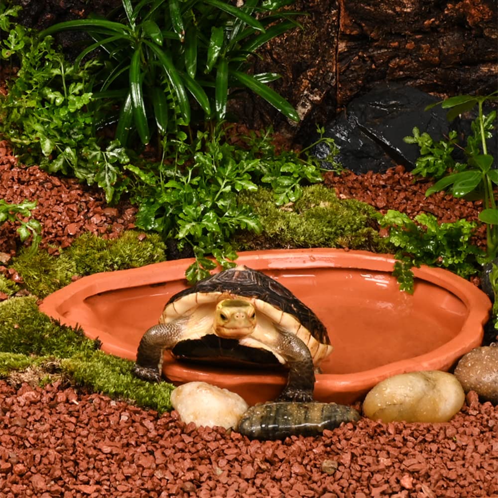 Snapklik.com : Flushbay Extra Large Reptile Bathing Pool Tortoise ...