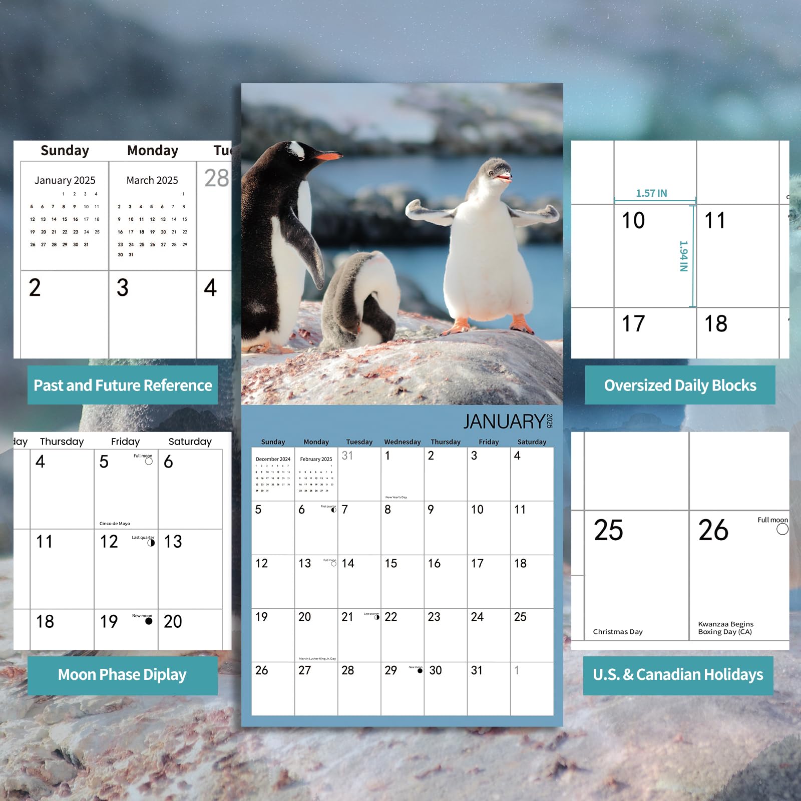 Snapklik.com : 2025 Wall Calendar,Calendar 2025,Baby Animals Monthly ...
