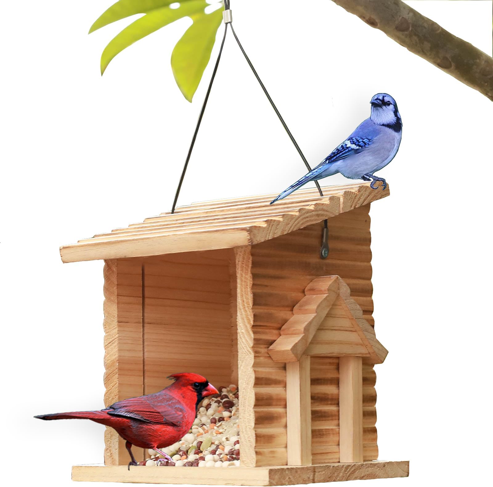 Amazon.com : STARSWR Bird Feeder for Outdoor,Outside Hanging Bird ...
