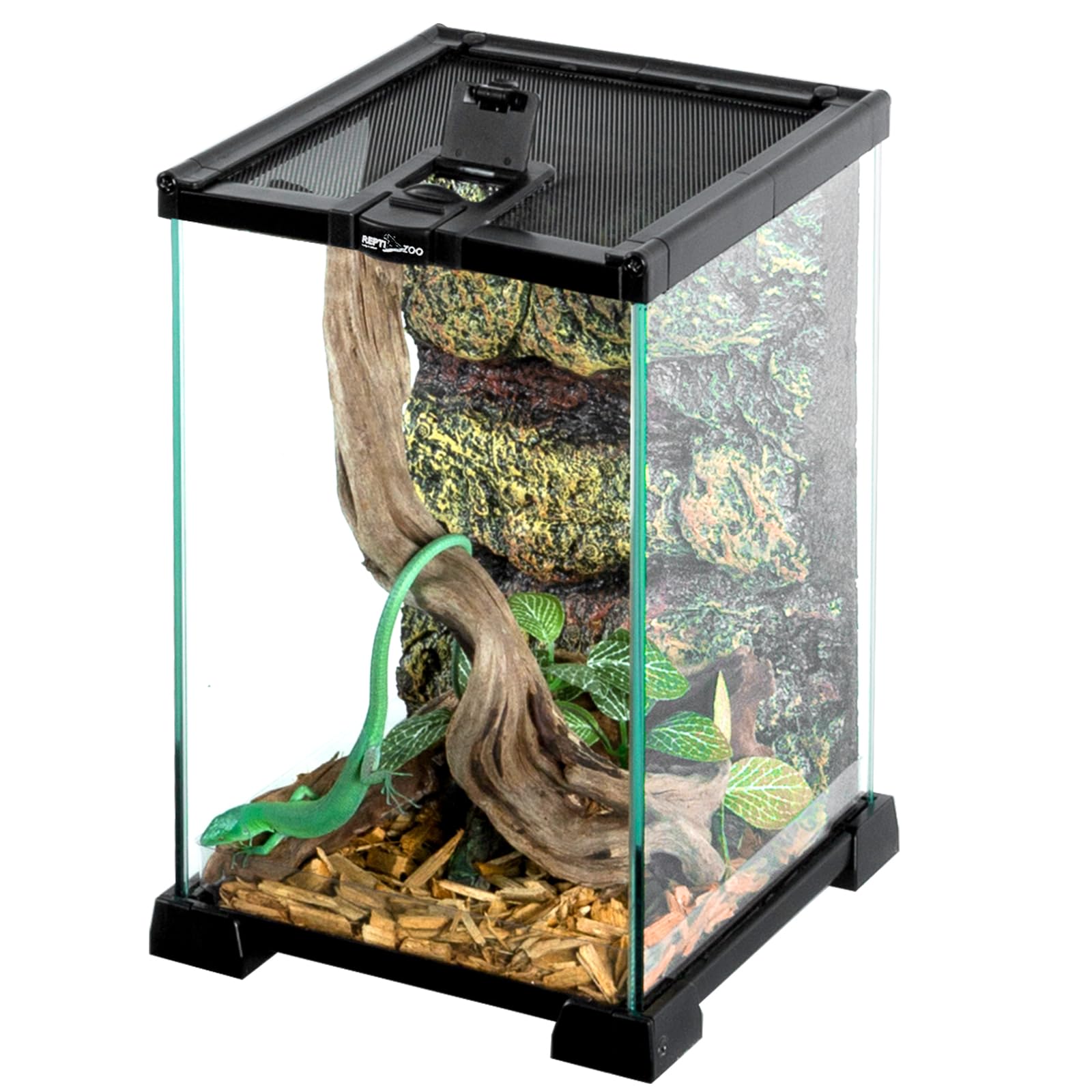 Buy REPTI ZOO Mini Reptile Glass Terrarium Tank, 8 x 8 x 12” Reptile ...