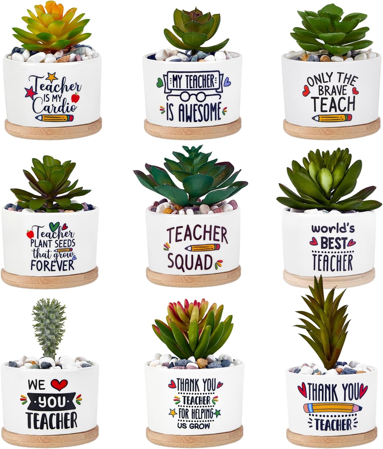 Amazon.com : 9 Pieces Teacher Appreciation Gifts Succulent Plant ...