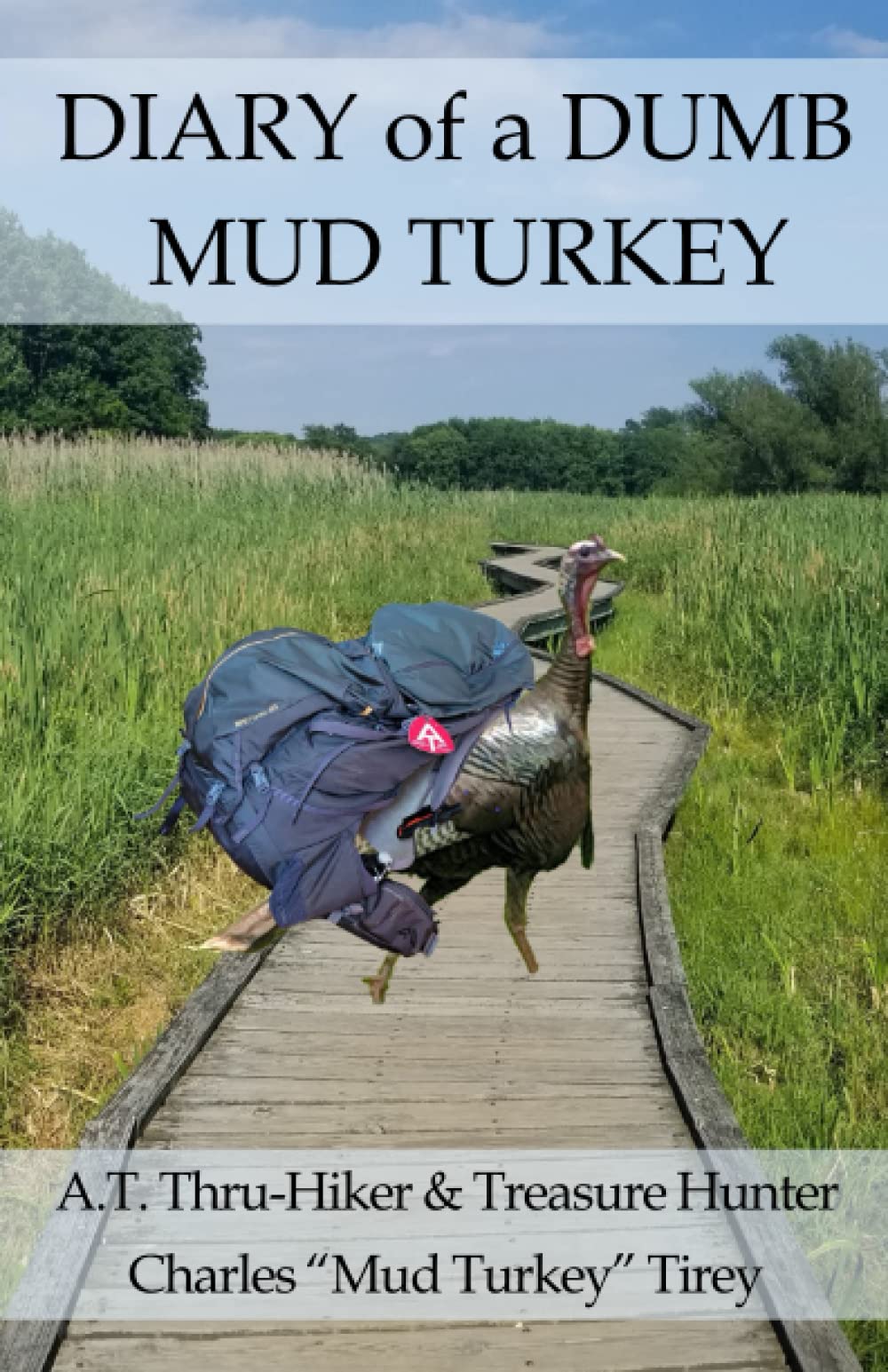 Diary of a Dumb Mud Turkey: A.T. Thru-Hiker & Treasure Hunter: Tirey ...