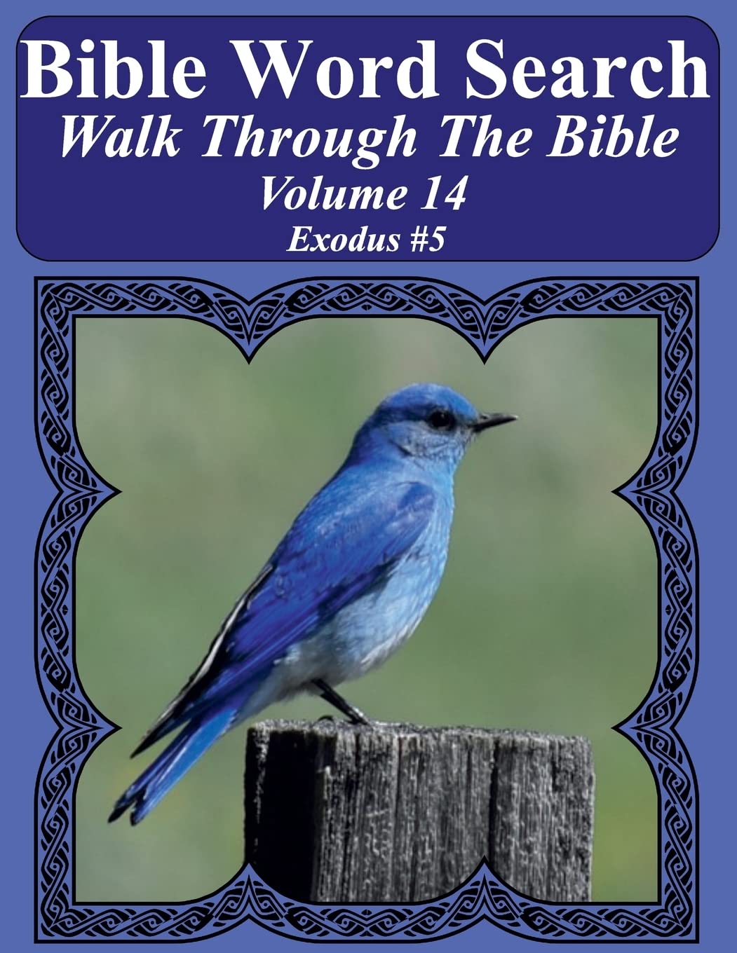 Bible Word Search Walk Through The Bible Volume 14: Exodus #5 Extra ...