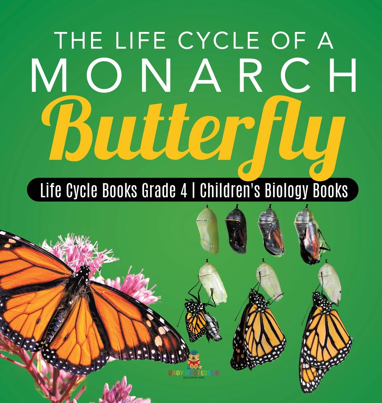 The Life Cycle Of A Monarch Butterfly Life Cycle Books | Desertcart INDIA