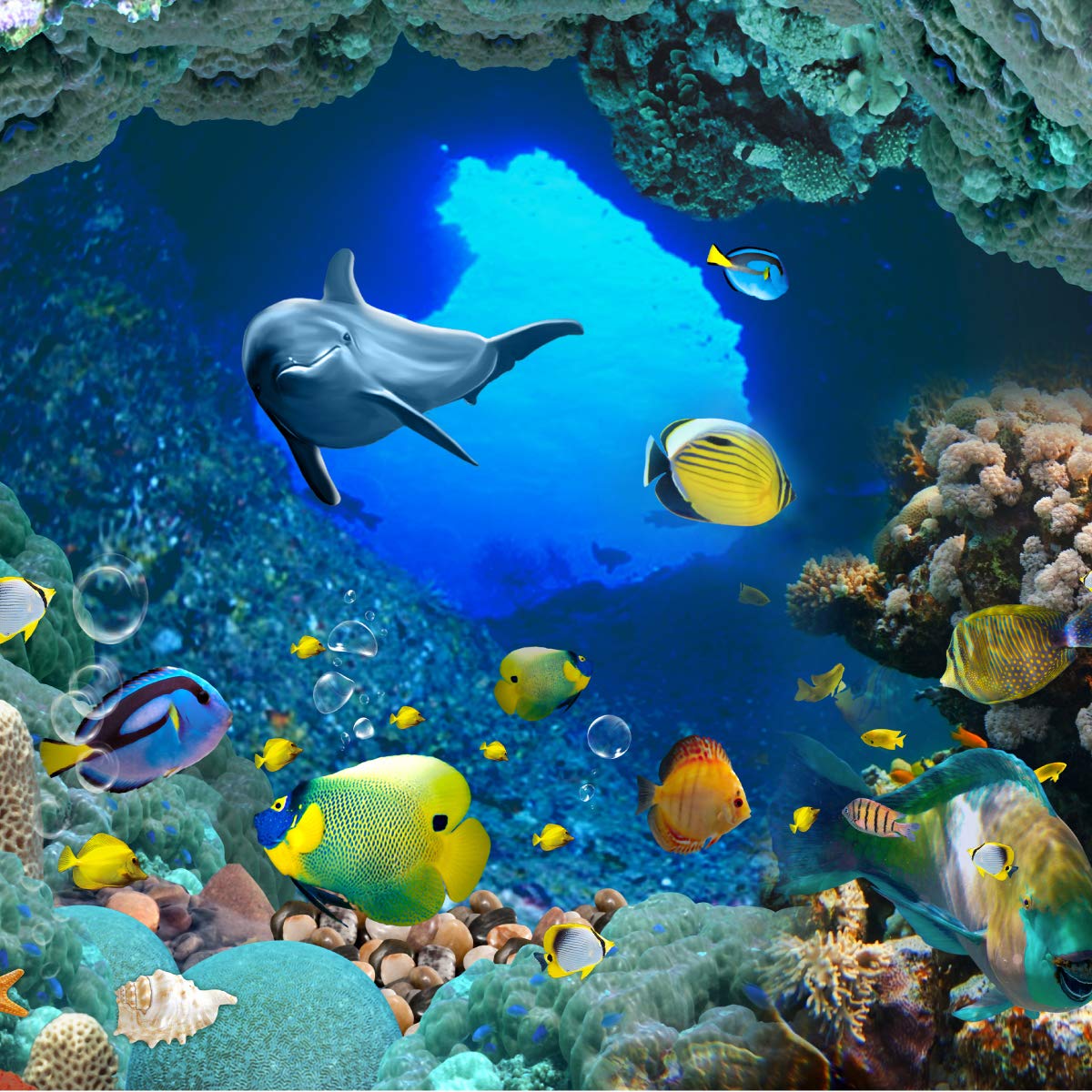 Underwater Ocean Wallpaper Desktop Ocean Underwater World Marine Life