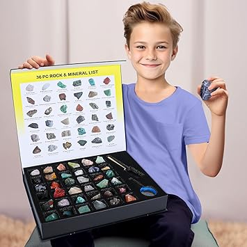 Amazon.com: BTYCityMao Rock Collection for Kids - 36pc Cool Rocks and ...