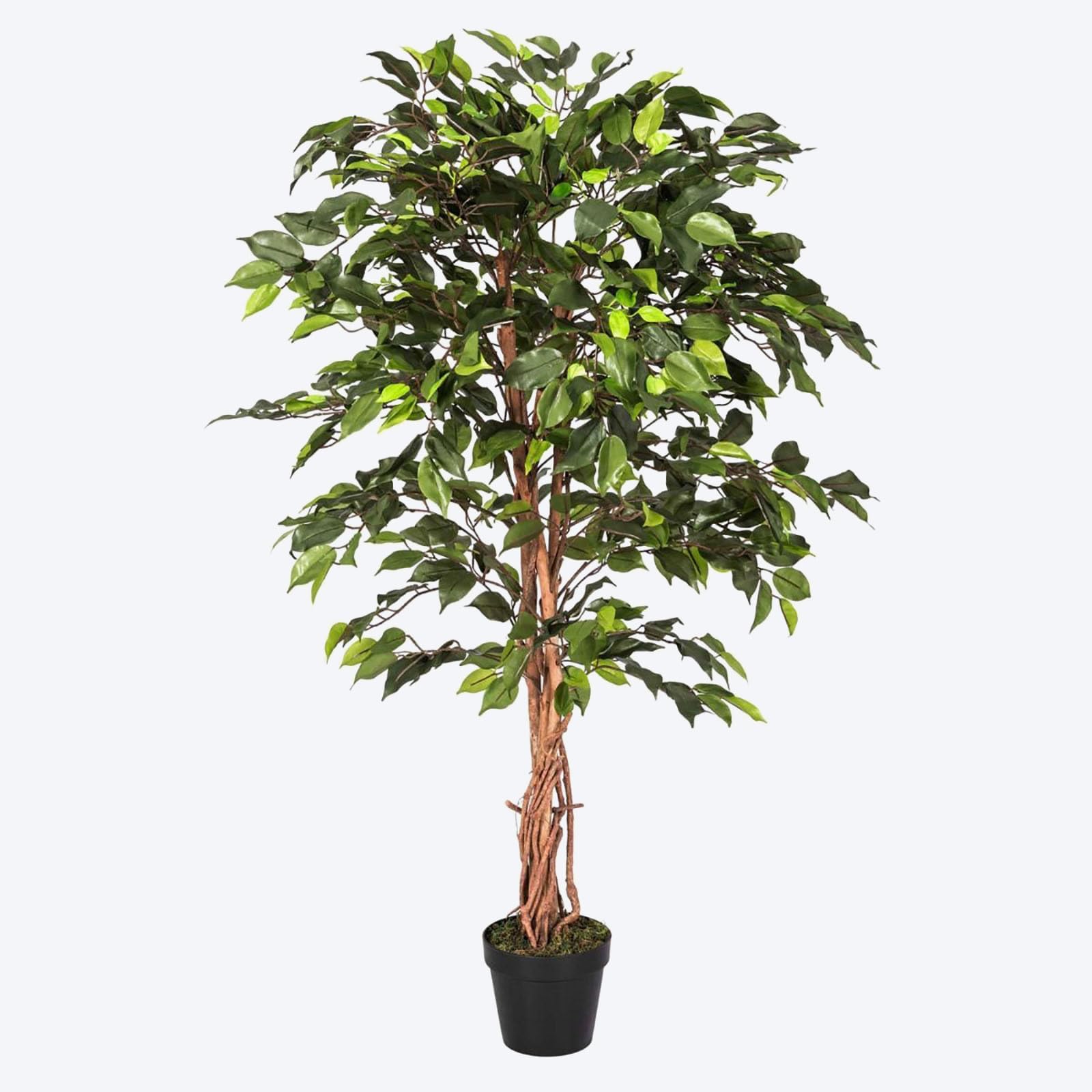 Amazon.de: Ficus Benjamini 90cm grün DA künstlicher Baum Pflanze ...