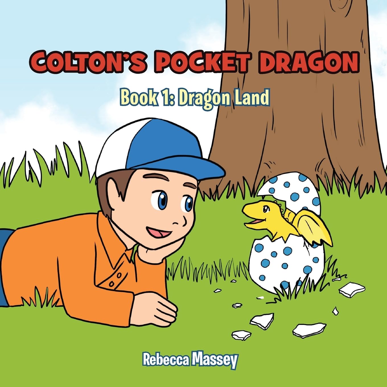 COLTON'S POCKET DRAGON Book 1: Dragon Land: Massey, Rebecca C ...