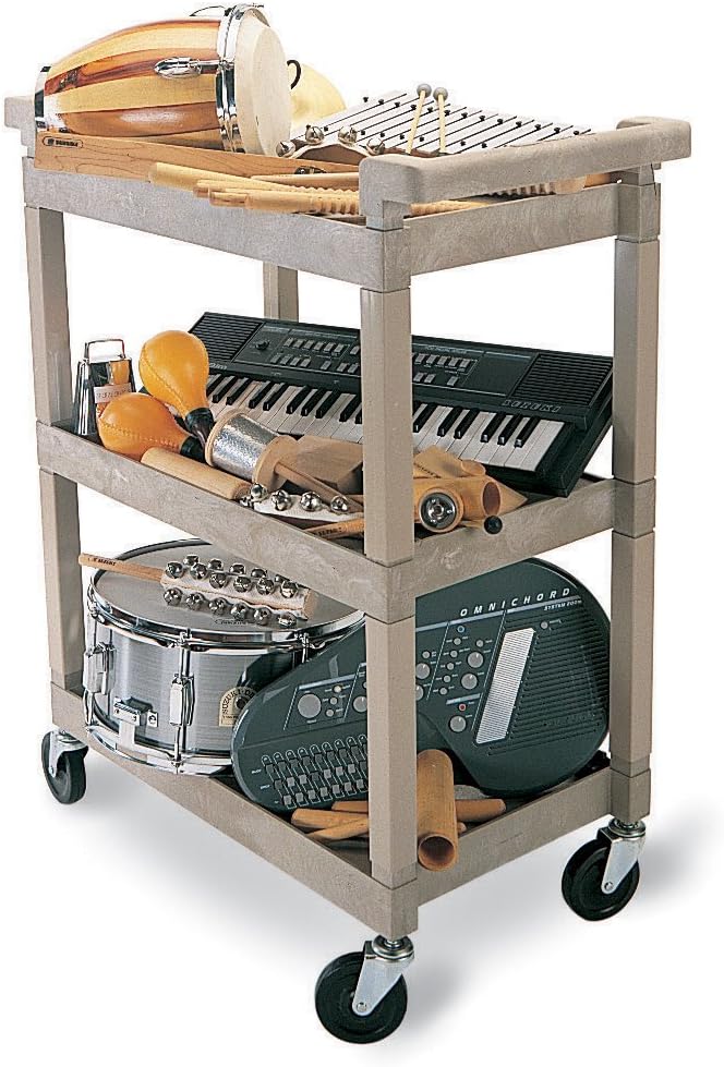 Amazon.com: Suzuki Musical Instrument Corporation PC-100 Instrument ...