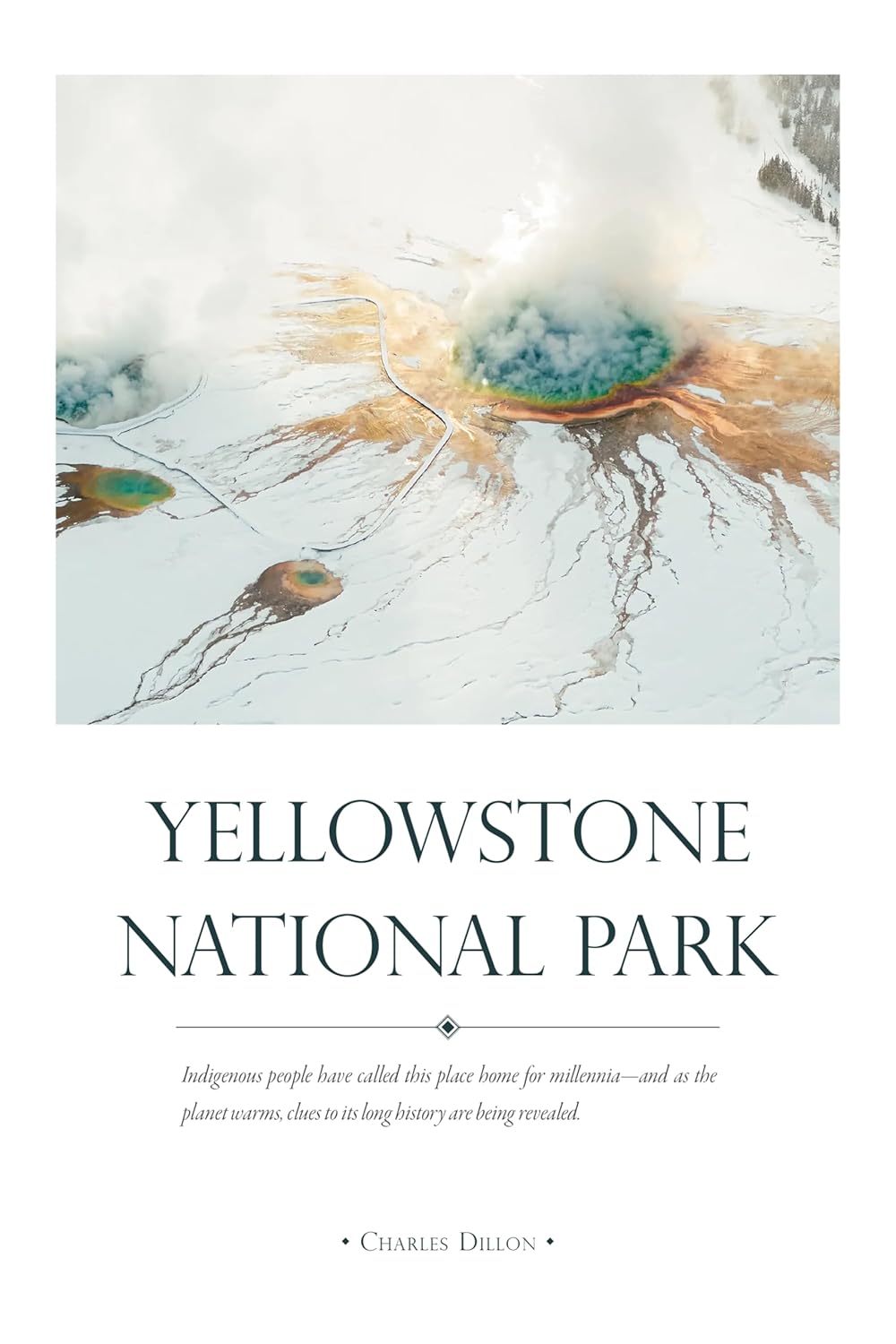 YELLOWSTONE NATIONAL PARK: National Park (Travel Guide) eBook : Dillon ...