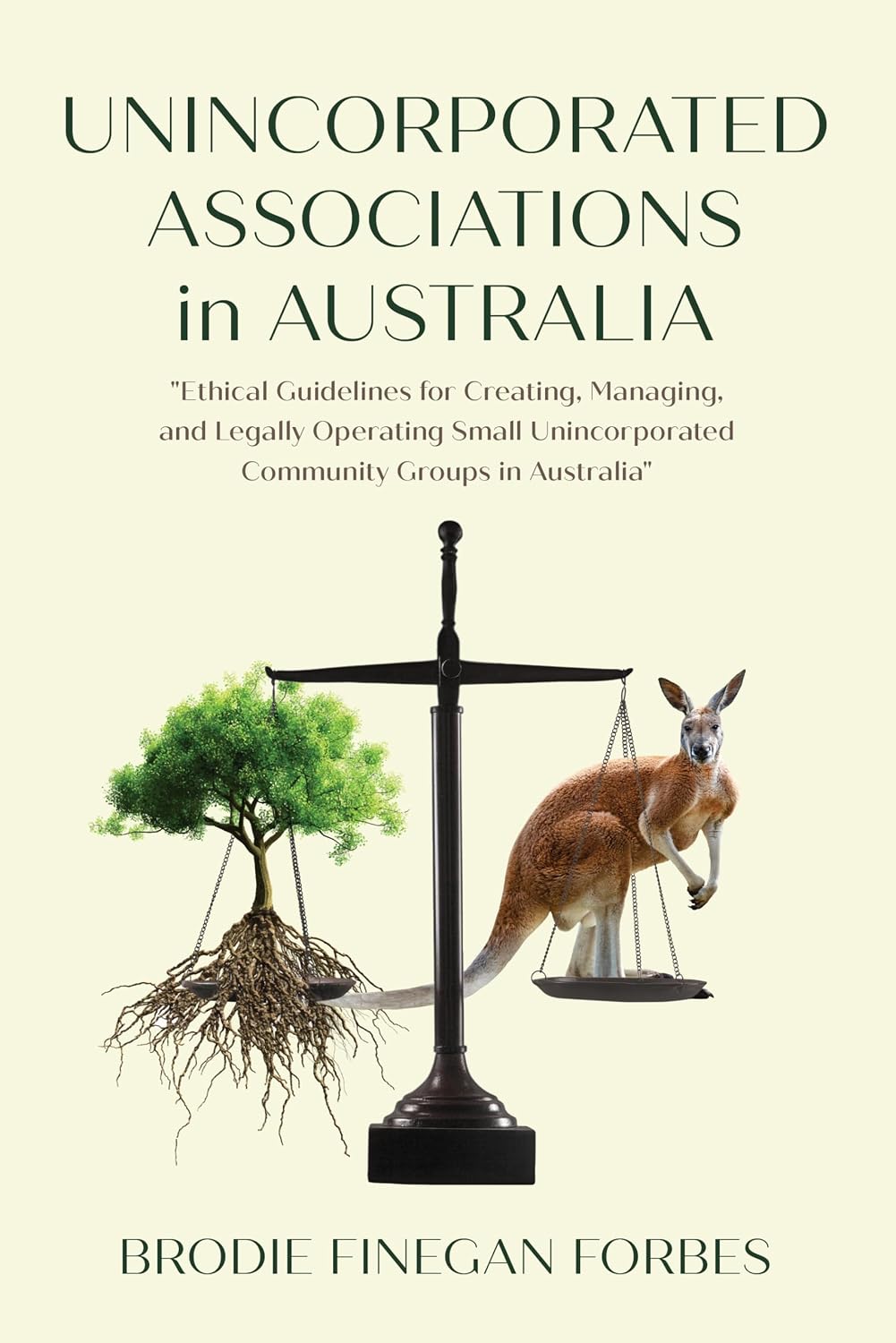 Amazon.com: Unincorporated Associations in Australia: Ethical ...