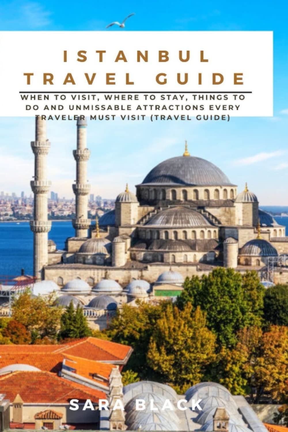 Buy ISTANBUL TRAVEL GUIDE: When to Visit, Where to Stay, Things to Do ...