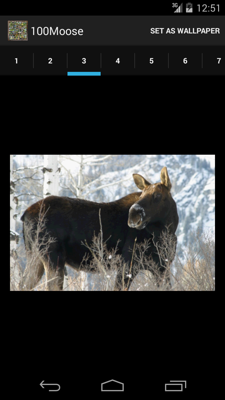 Moose Wallpaper App - App on the Amazon Appstore