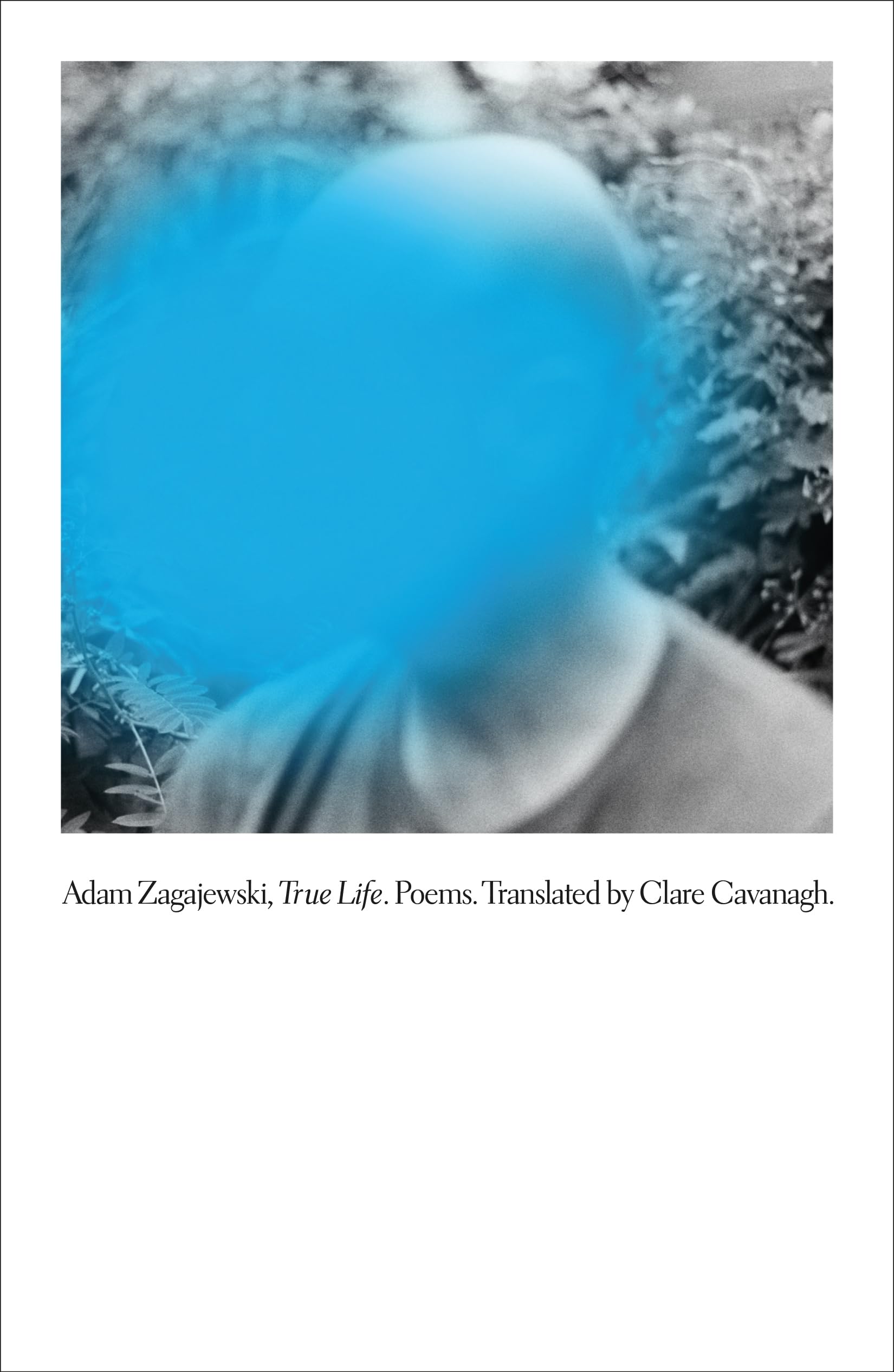 Amazon.com: True Life: Poems: 9780374601560: Zagajewski, Adam, Cavanagh, Clare: Books