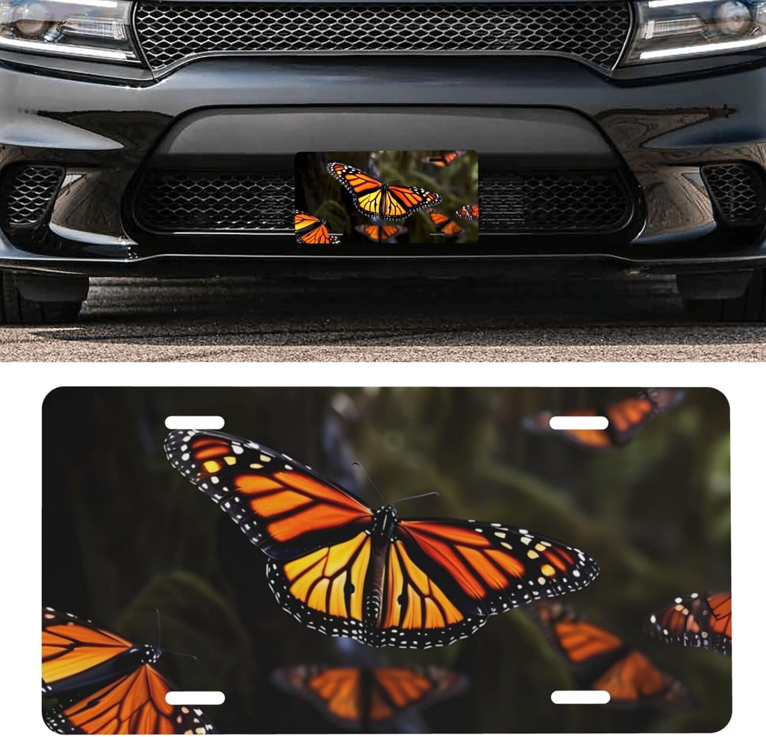 Amazon.com: Monarch Butterflies License Plate Cover Decorative Car ...