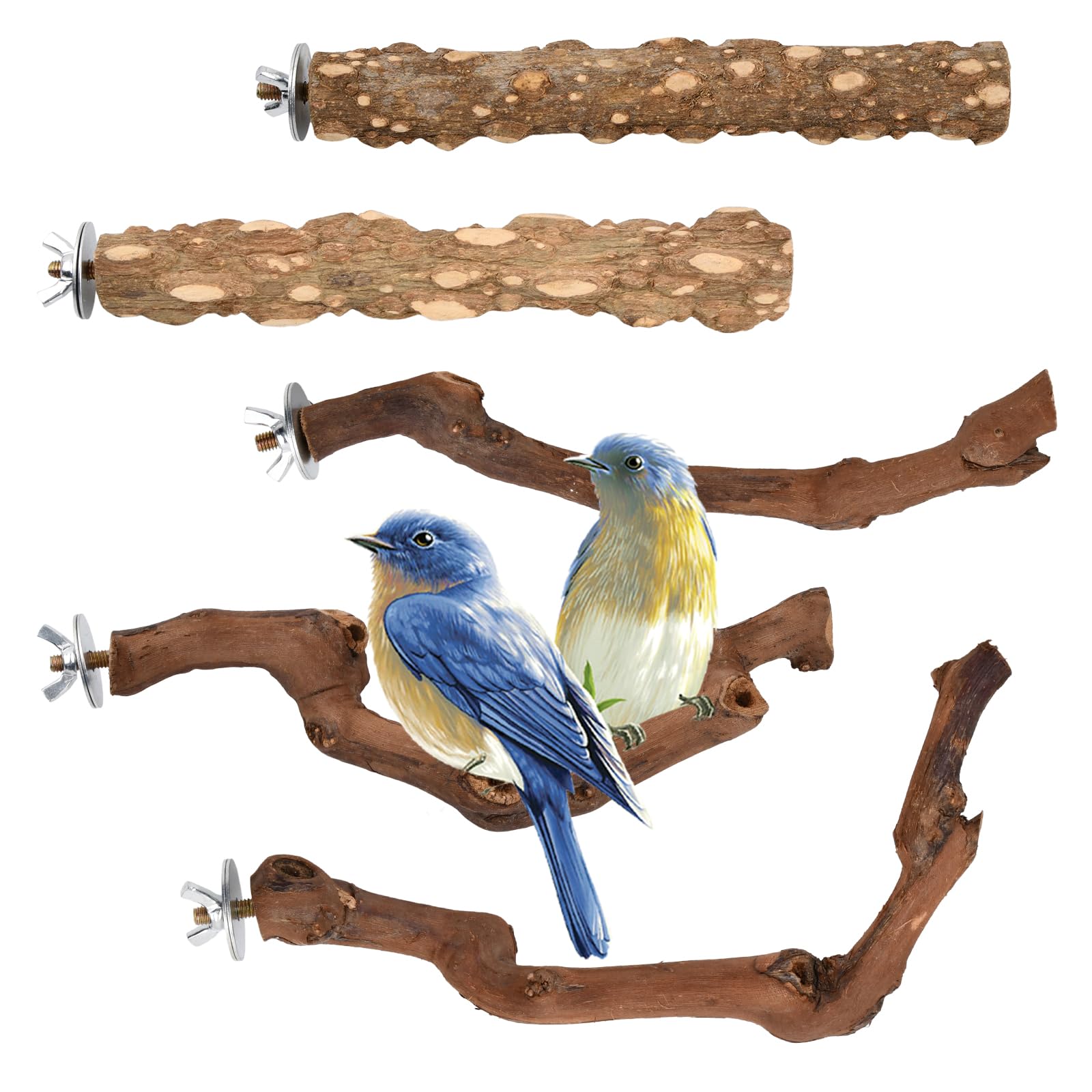 Pack of 5 Natural Wood Bird Perches, Natural Perches Set for Birds ...
