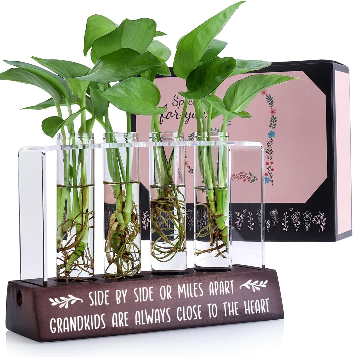 Amazon.com: MITIME Glass Propagation Stations Wall Hanging Planter ...