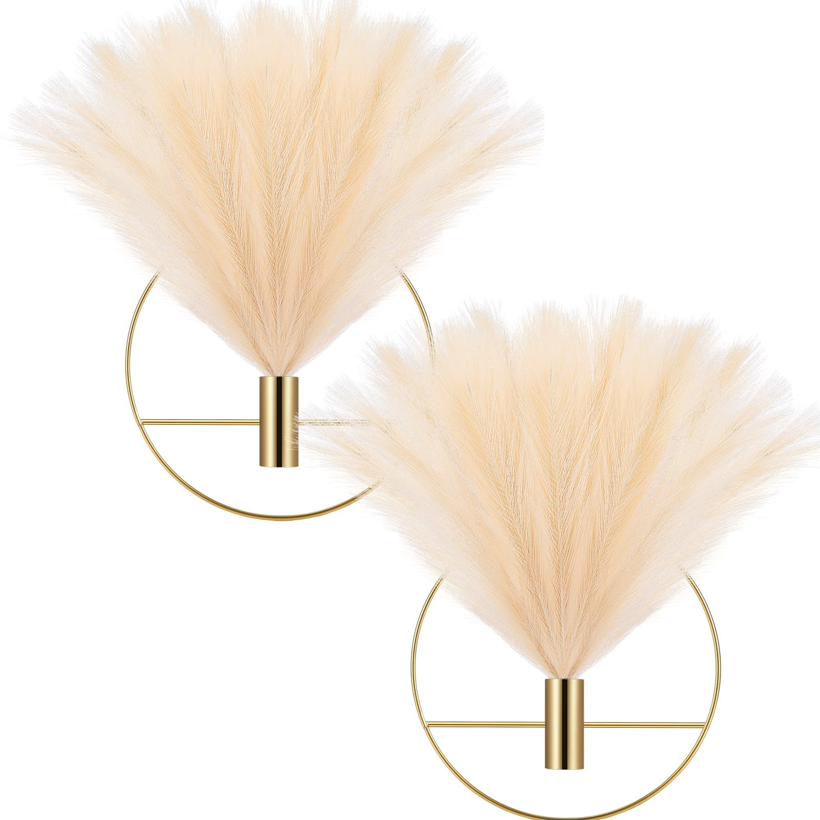 Amazon.com: Wesiti 2 Set Boho Pampas Grass Wall Decor Include 6 ...