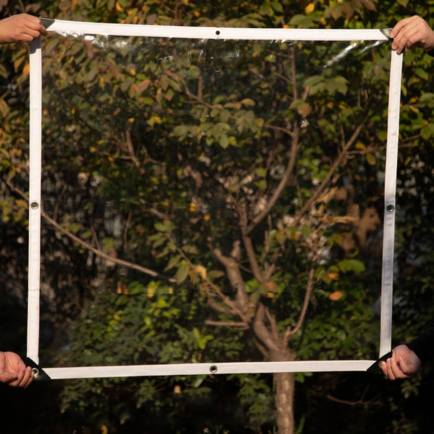 Amazon.com: SAGIDAR PVC Transparent Tarpaulin - Transparent Tarp 2x3m ...