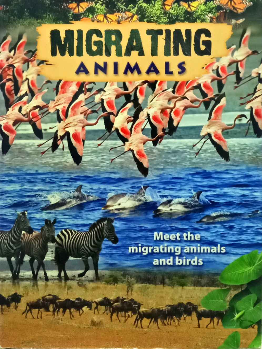 Buy Migrating Animals Book Online at Low Prices in India | Migrating ...
