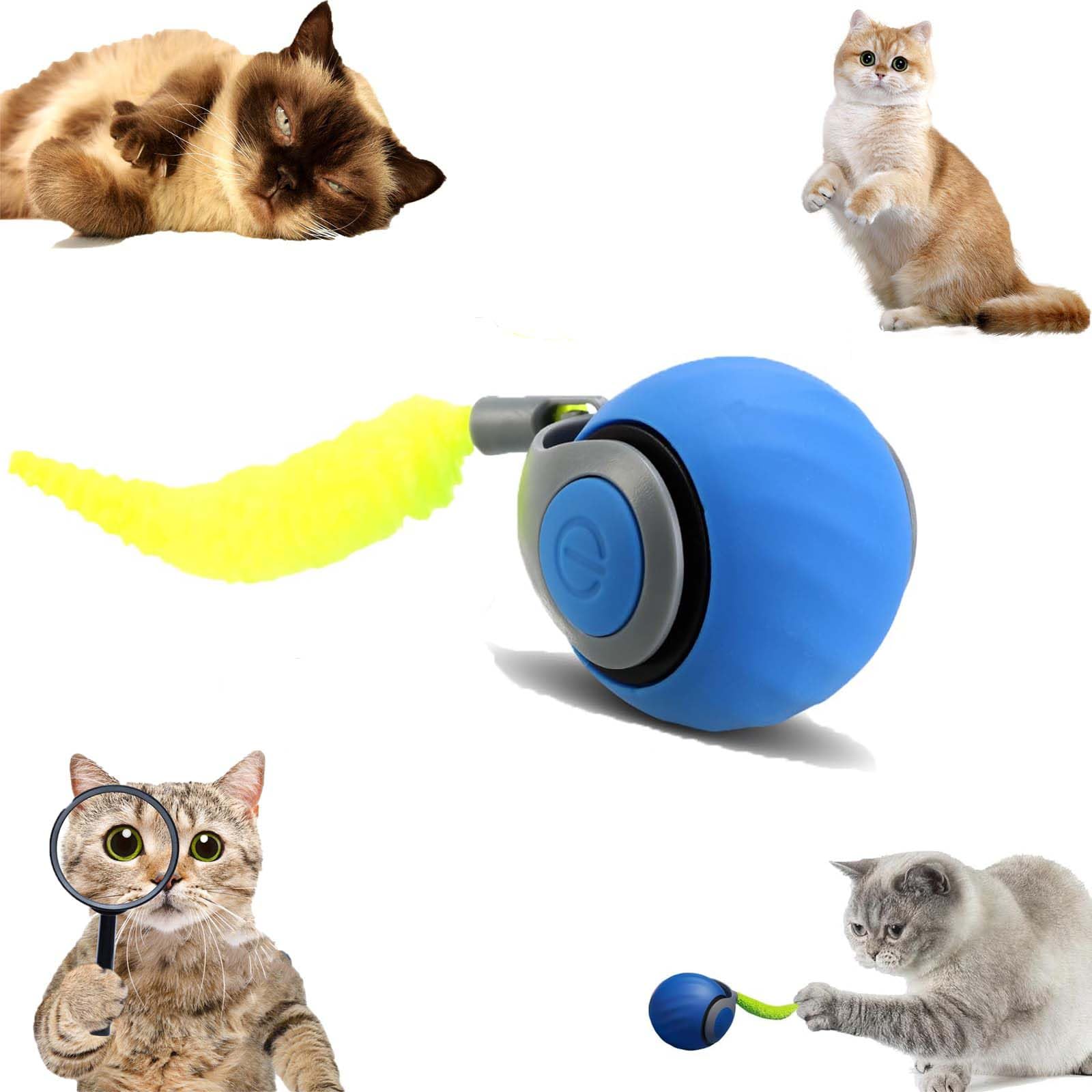 Mzzsveuy Speedy Tail Cat Toy, Interactive Cat Ball Toy, Smart ...