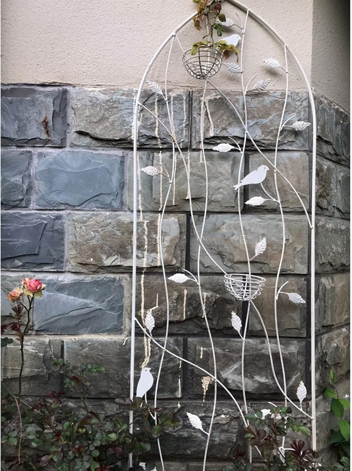 Amazon.com : Garden Trellis Panels, Vintage Design Garden Trellises ...