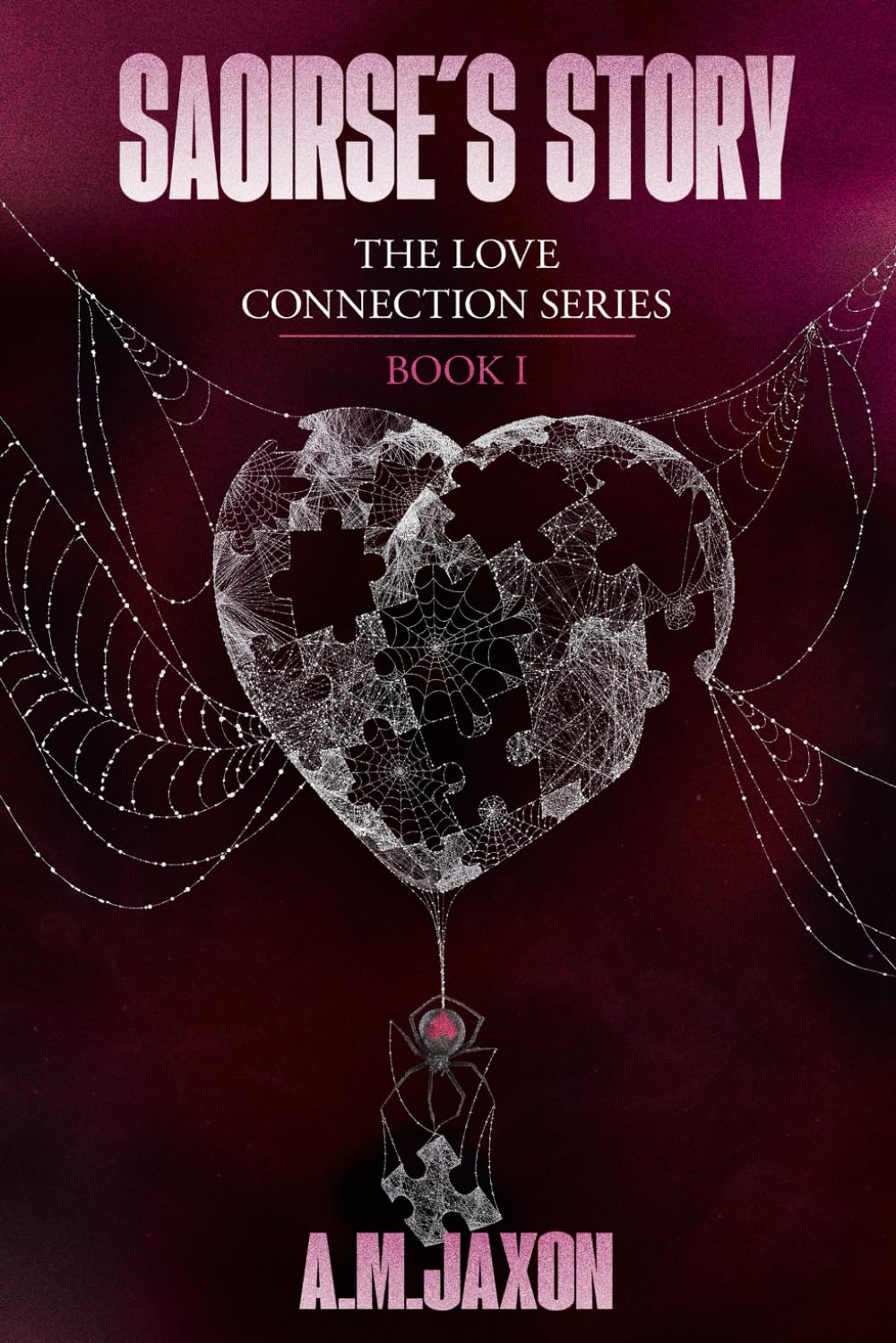 Amazon.com: Saoirse's Story (The Love Connection Series): 9781763727595 ...