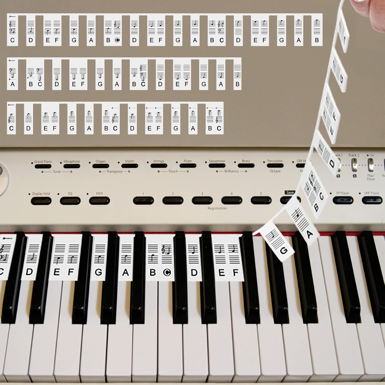 Amazon.com: Piano Keyboard Stickers, Catcan 88 Full-Size Removable ...