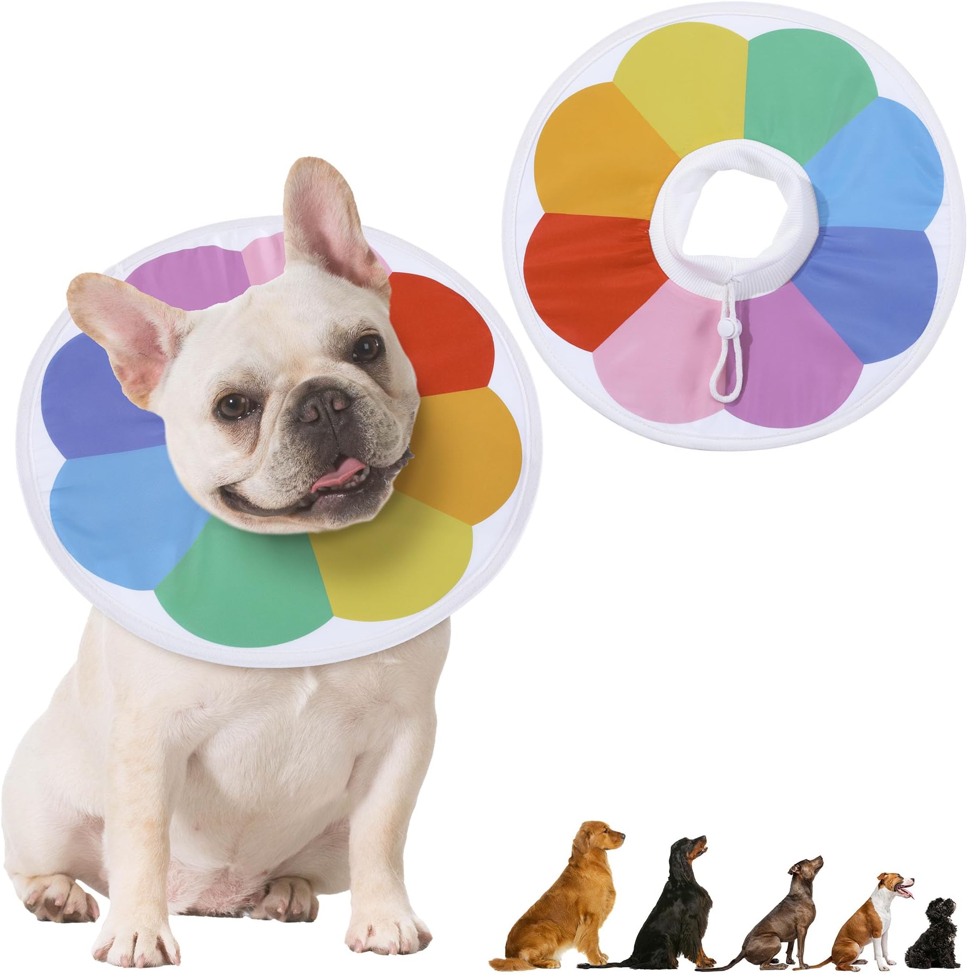 Amazon.com : MABOZOO Waterproof Dog Cone, Colorful Flower Dog Cat Pet ...