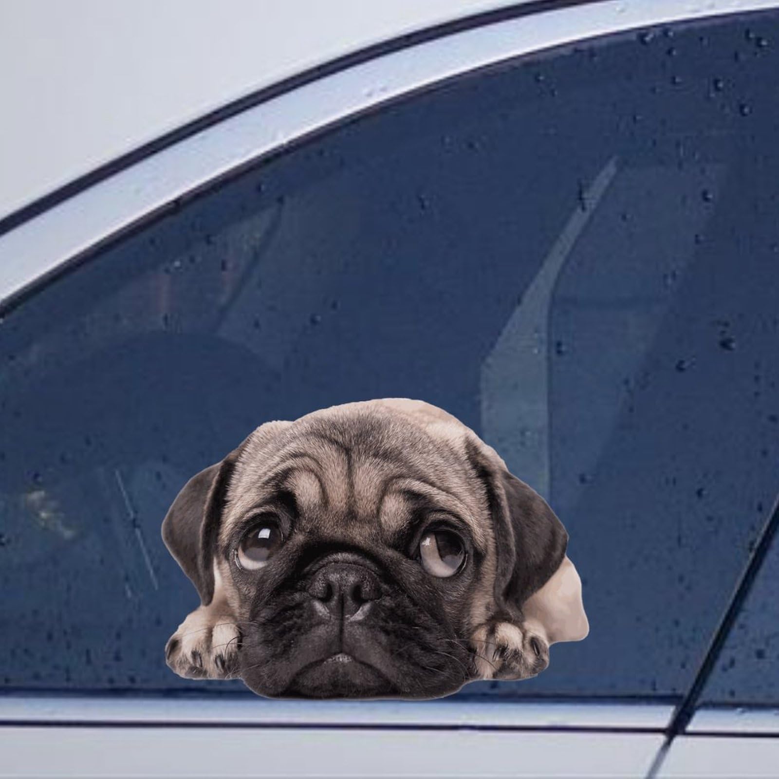 Amazon.com - Pug Dog Stickers for Car Pug Dog Dog Car Decal Window ...