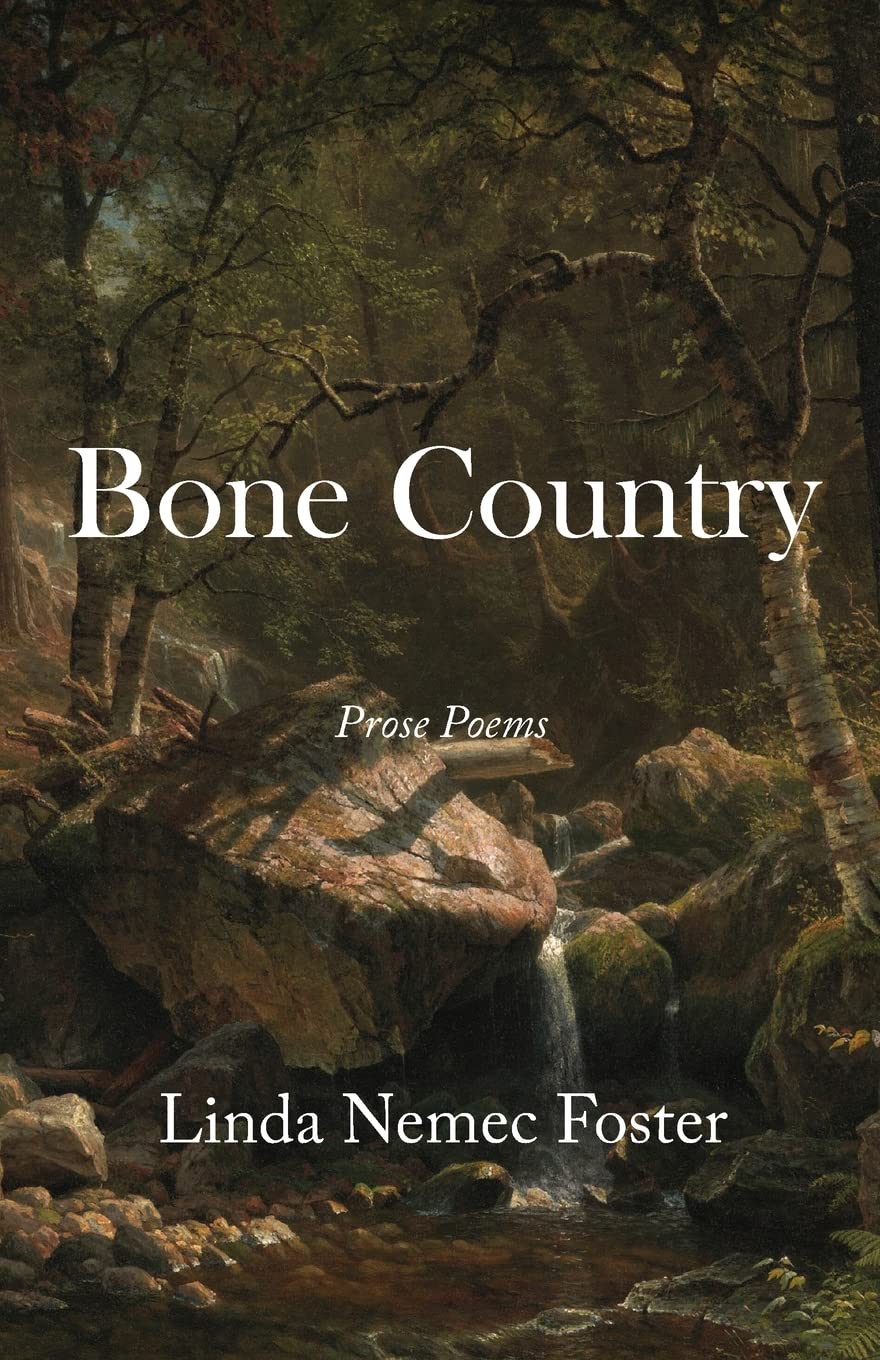 Amazon.com: Bone Country: Prose Poems: 9798986966311: Foster, Linda ...