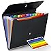 Amazon.com : Expanding File Folder with Tabs, 13 Pockets File Organizer Accordion File Holder ...