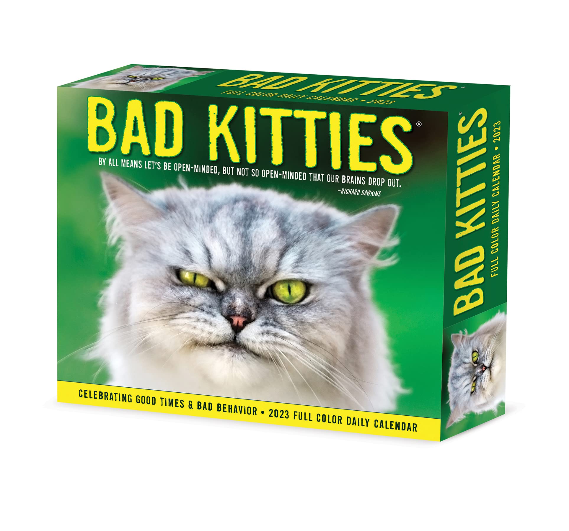 Bad Kitties 2023 Box Calendar: Willow Creek Press: 9781549228759 ...