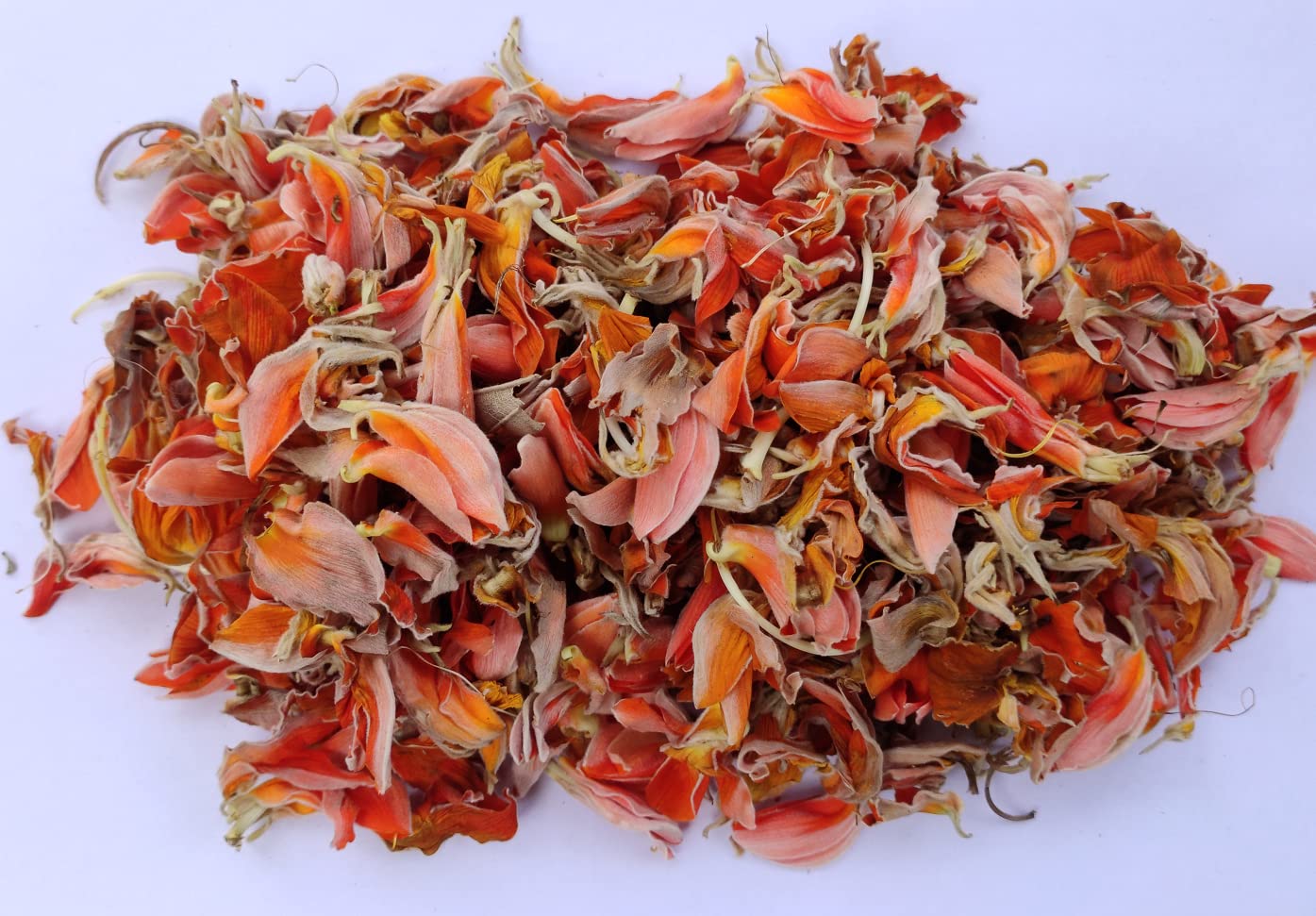 Buy RUKDA Tesu Flower | Palash Flower | Dry Palash Phool | Butea ...