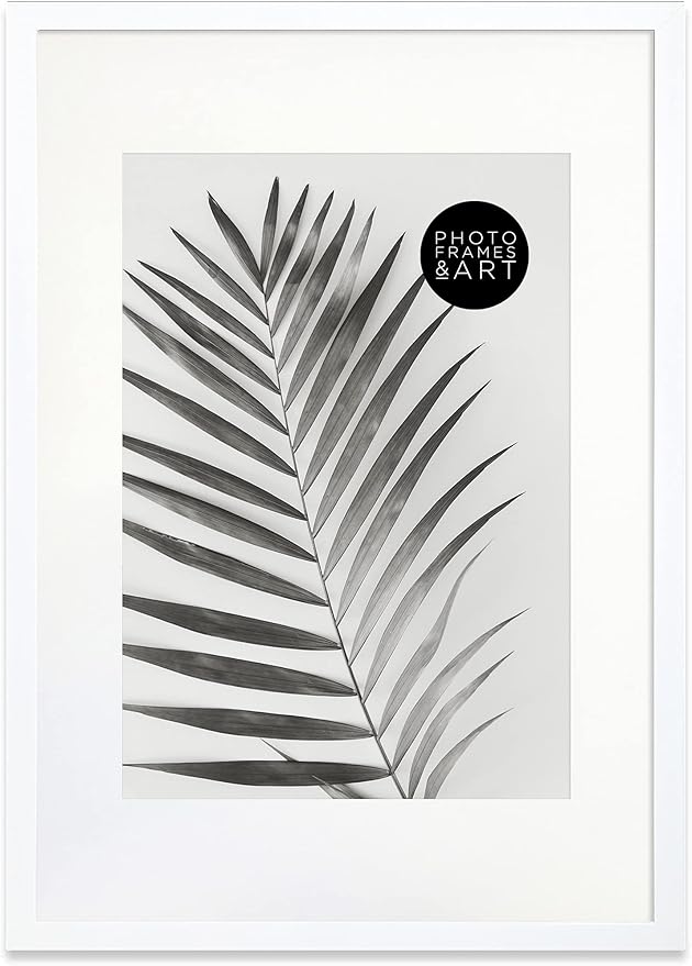 pf+a Perspex Window A3 Picture Frame With Mount - A2 For A3 White ...