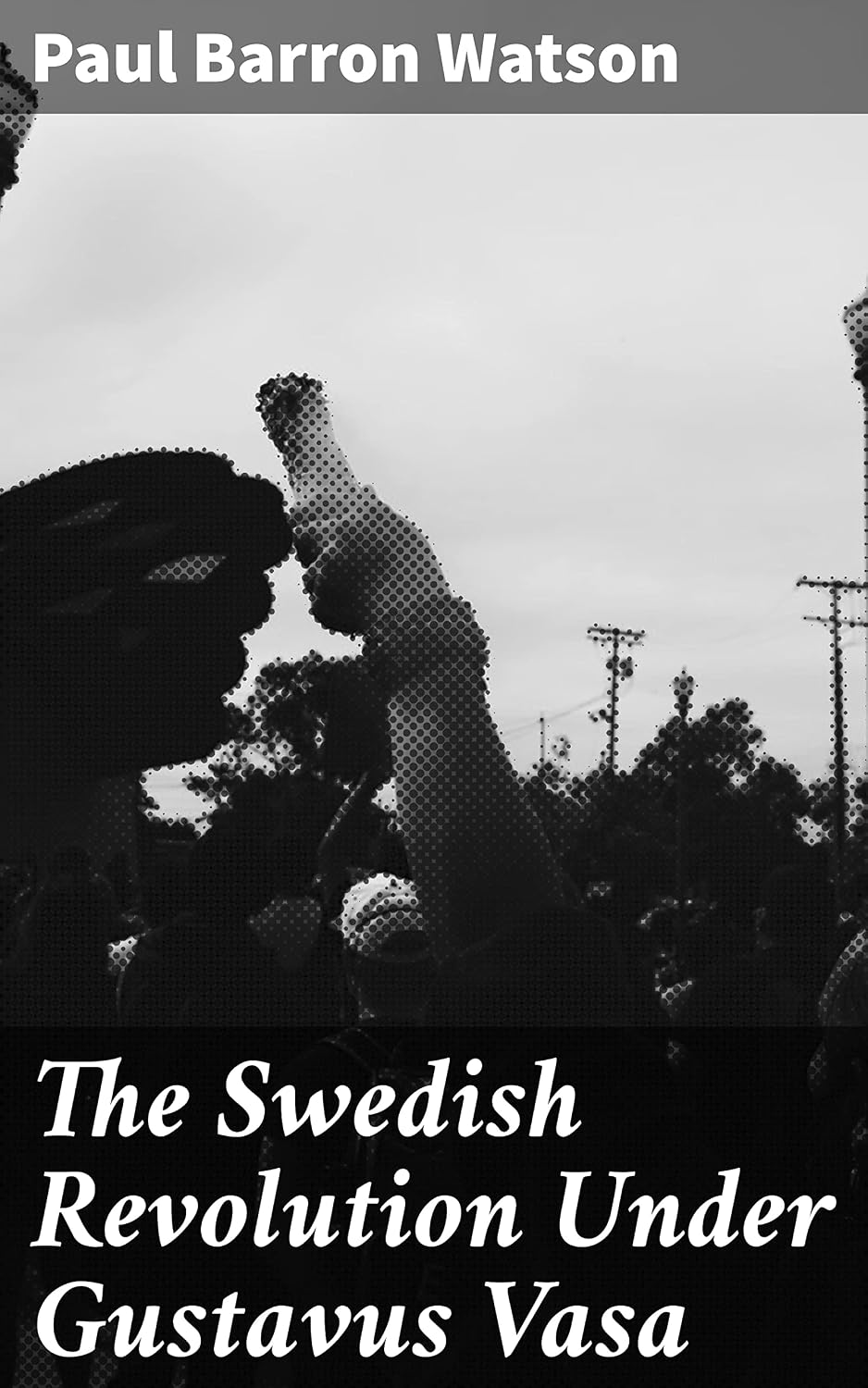Amazon.com: The Swedish Revolution Under Gustavus Vasa: Unveiling ...