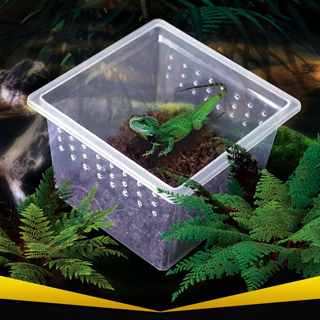 10 PCS Acrylic Reptile Breeding Box, Snake Breeding Box, Tarantula ...