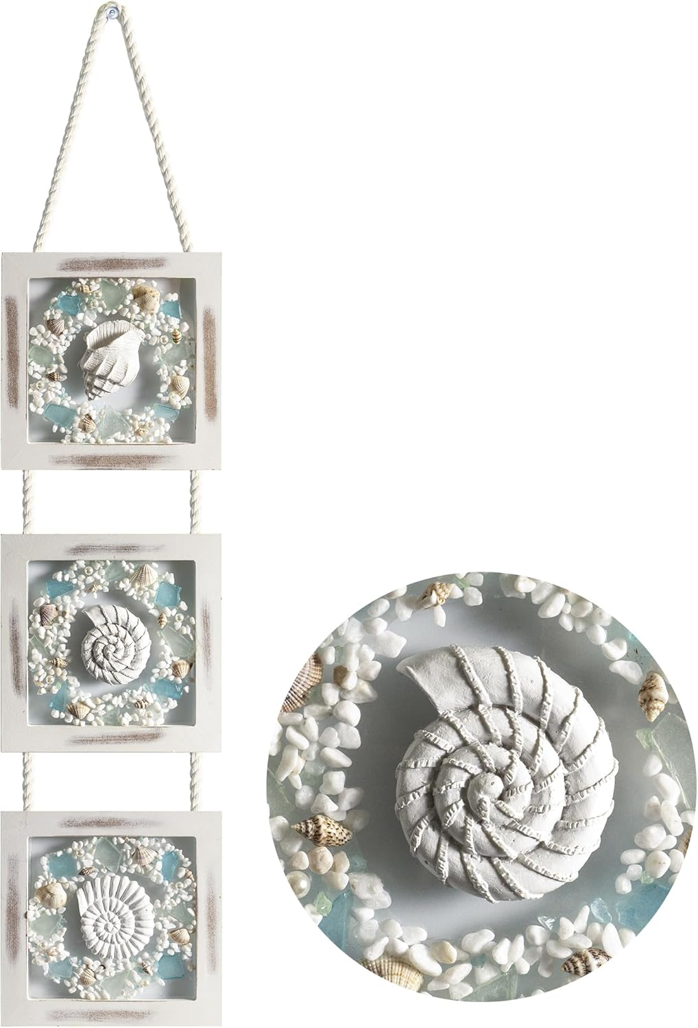 Amazon.com: flangairy Coastal Wall Decor 3d Seashell Starfish Conch ...