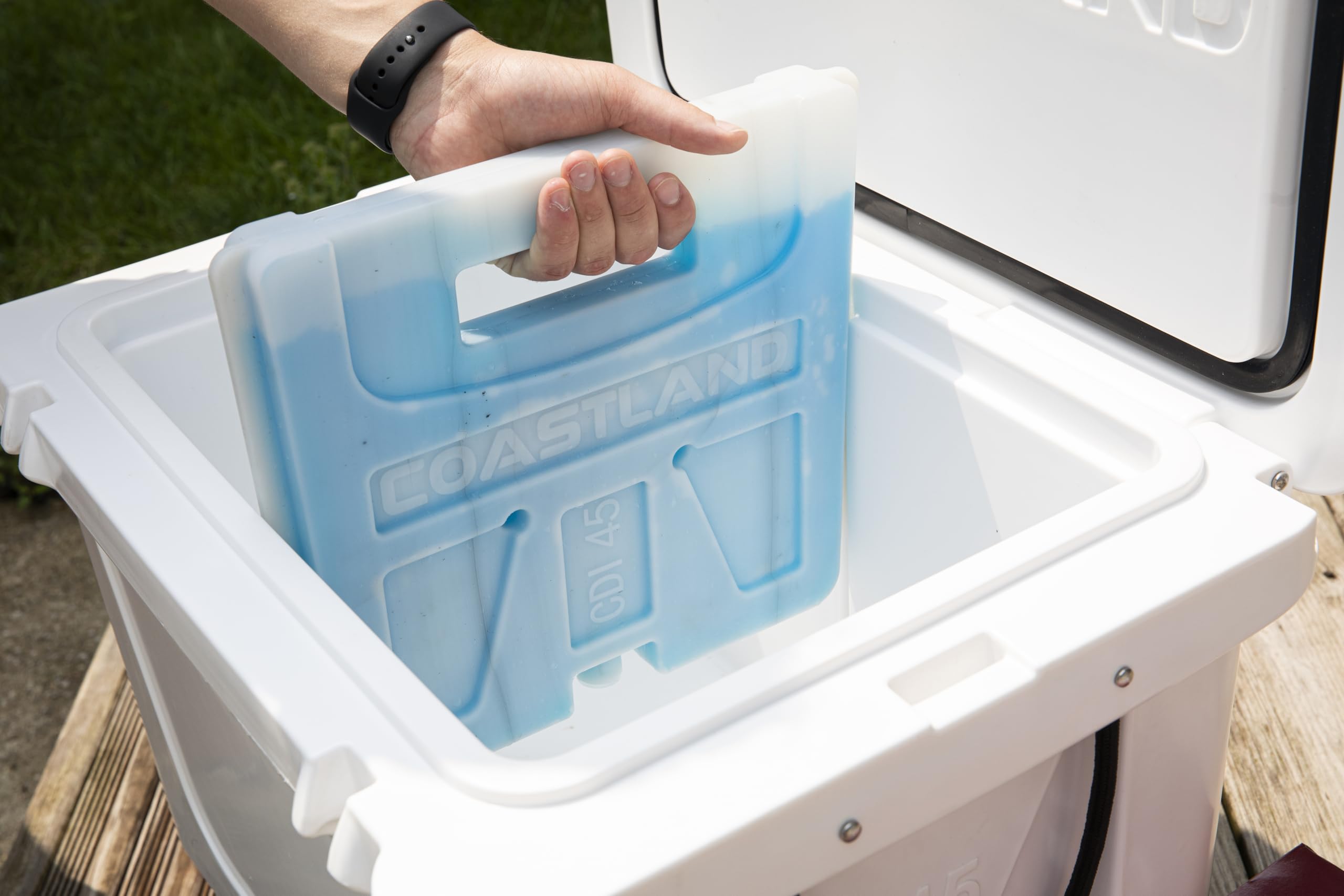Snapklik.com : Coastland Freezable Cooler Dividers CD125, Ice Divider ...