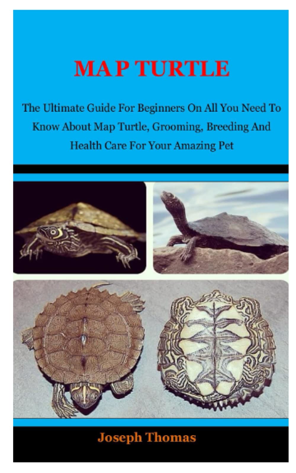 Buy TURTLE: The Ultimate Guide For Beginners On All You Need To Know ...