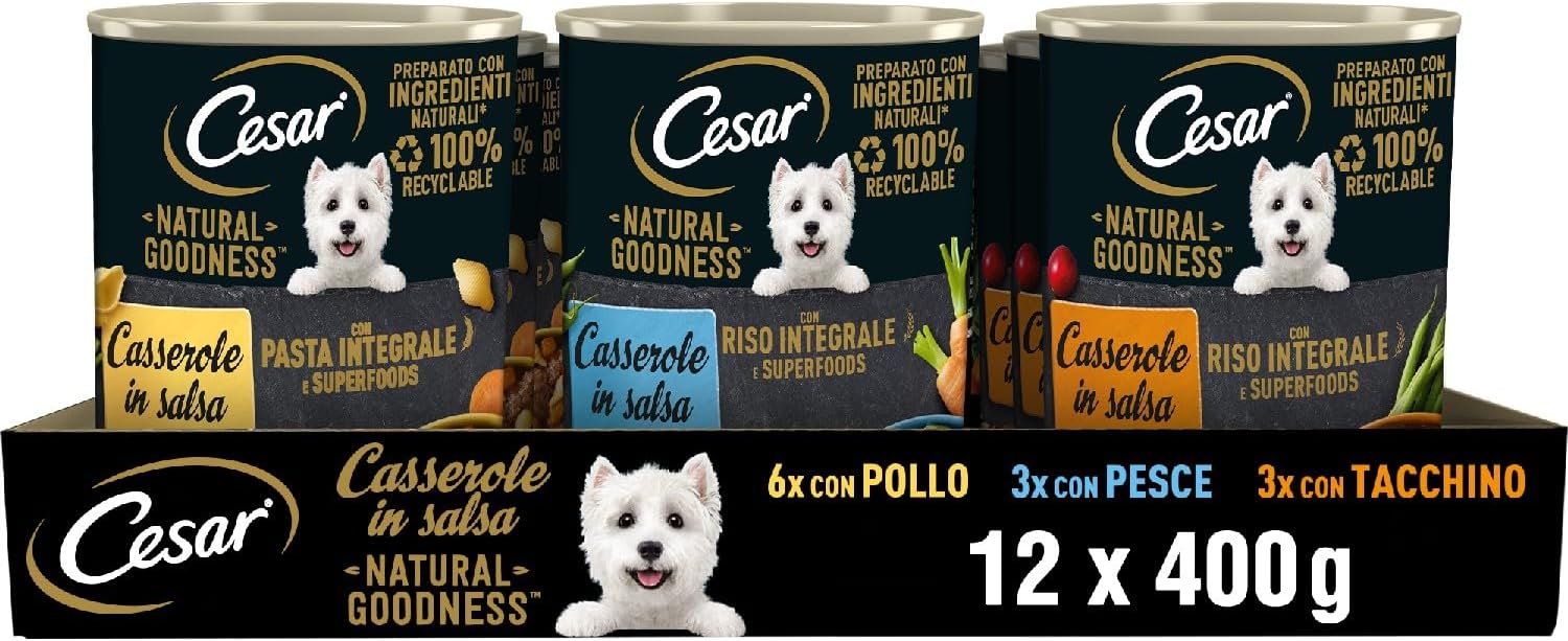Cesar Senior 10+ Cibo per Cane con tenero Pollo e Riso, 150 g, 14 ...