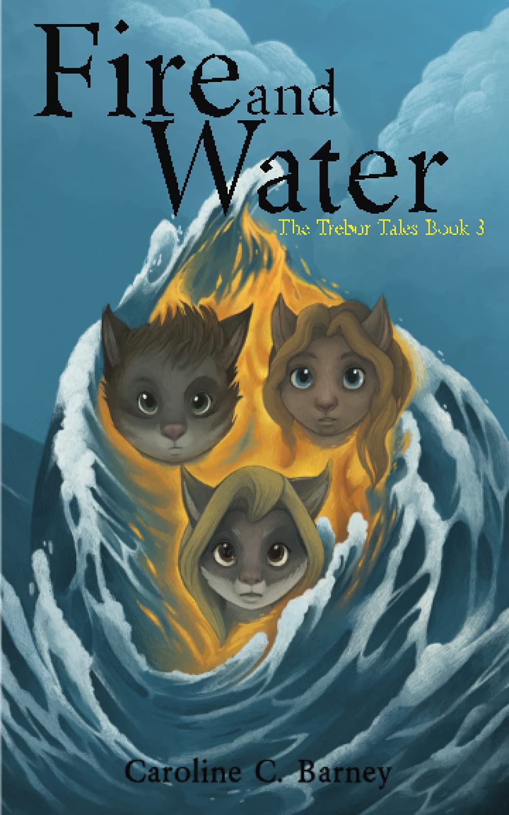 Amazon.com: Fire and Water: 9781952816734: Barney, Caroline C.: Books