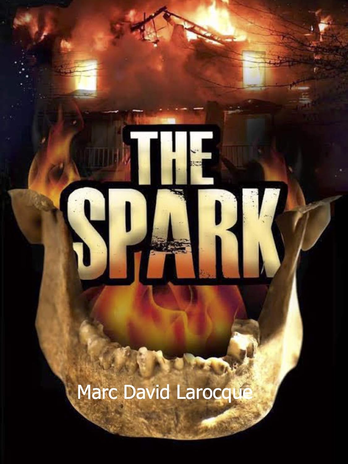 Amazon.com: The Spark eBook : Larocque, Marc David : Kindle Store