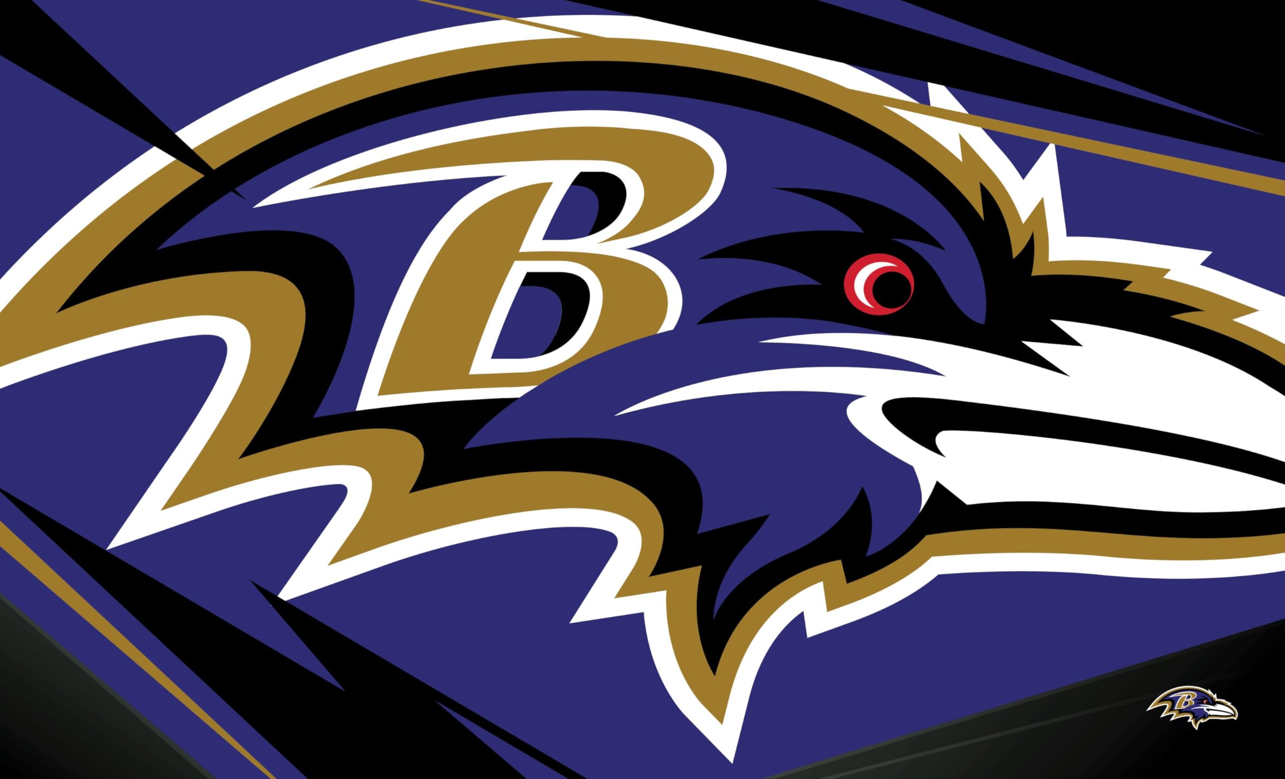 Snapklik.com : Northwest The Company NFL Baltimore Ravens Washable Rug