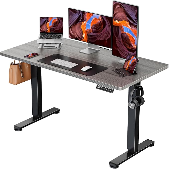 Amazon.com: ErGear Height Adjustable Electric Standing Desk, 48 x 24 ...