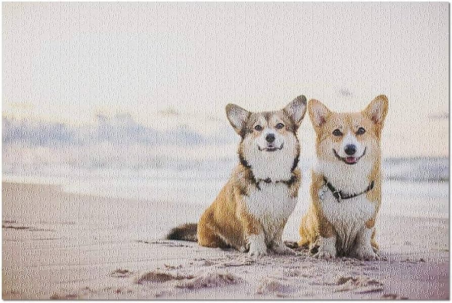 Son Buenos Perros Pembroke Welsh Corgis