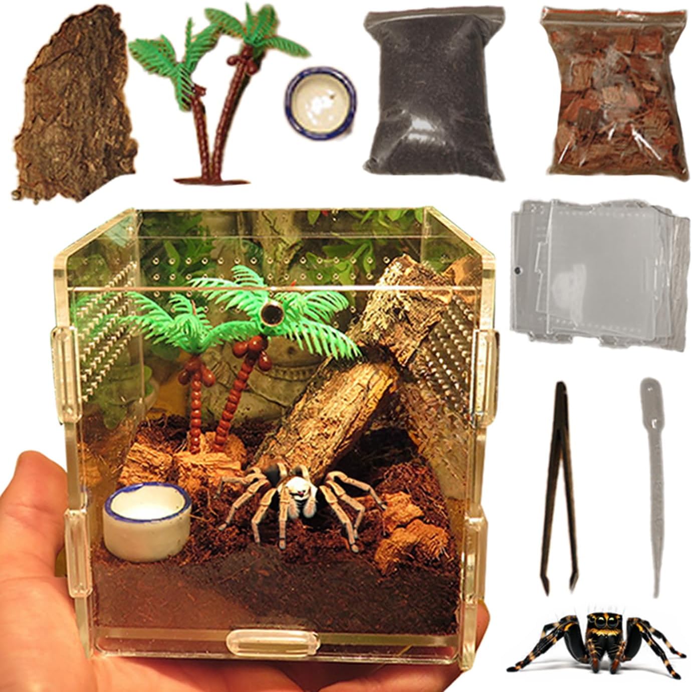 Amazon.com : Jumping Spider Enclosure Acrylic Cage 8pcs Sets Jumping ...