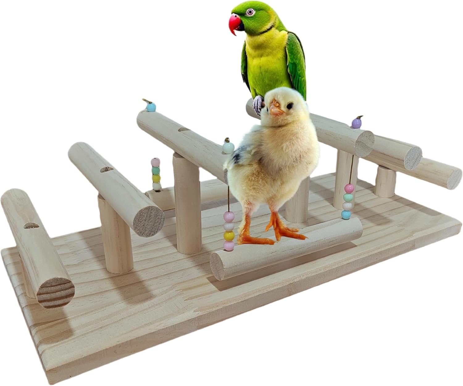 Amazon.com : Chick Perch&Bird Perch with Swings - Step-Design Safety ...