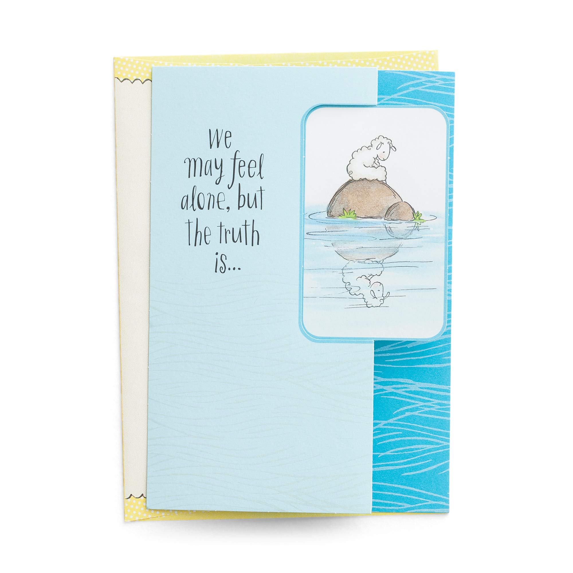Amazon.com : DaySpring Really Woolly - Encouragement - The Truth Is - 6 ...